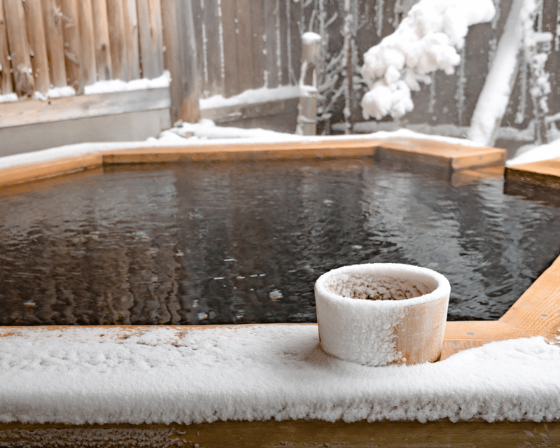 Nagano/Myoko: Snow Monkey & Hot Spring Retreat Private Tour - Jigokudani Snow Monkey Park