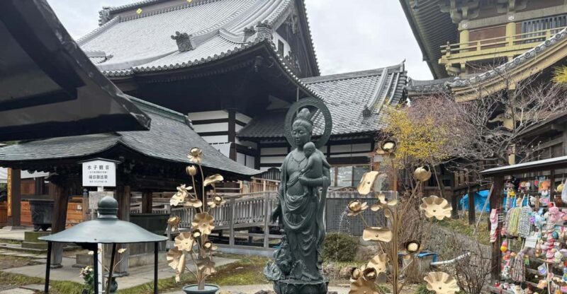 Nagano One Day Private Tour - Booking Information