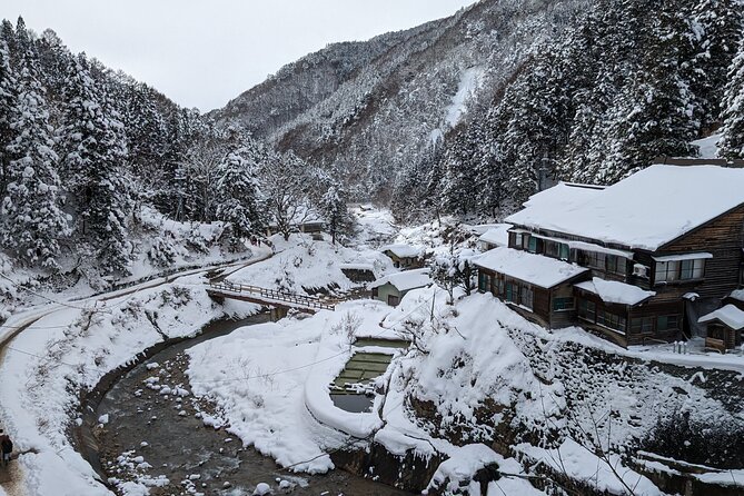 Nagano Snow Monkey 1 Day Tour With Beef Sukiyaki Lunch From Tokyo - Exploring the Jigokudani Monkey Park