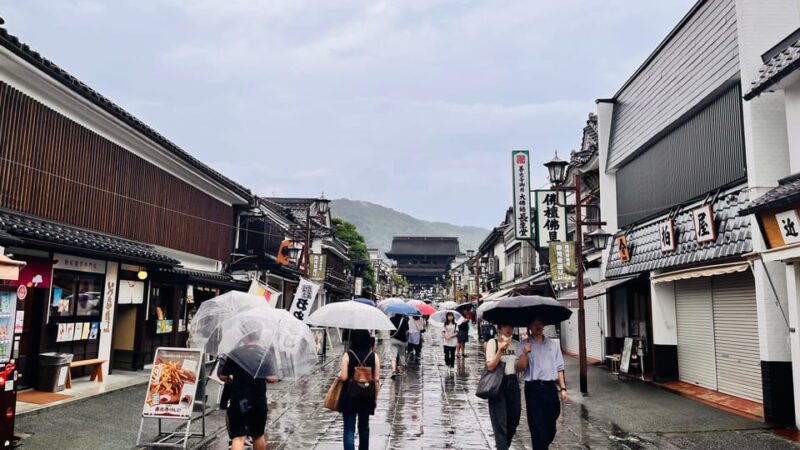 Nagano, Snow Monkey Park, Zenkoji Temple English Guide Tour. - Highlights