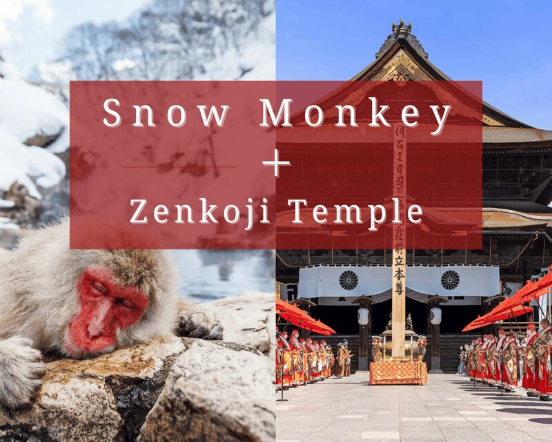Nagano: Snow Monkeys, Sake Tasting & Zenkoji Private Tour - Key Points