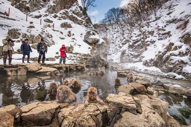 Nagano: Snow Monkeys, Zenko-ji Temple, and Lake Nojiri Tour - Exploring the Grandeur of Zenko-ji Temple