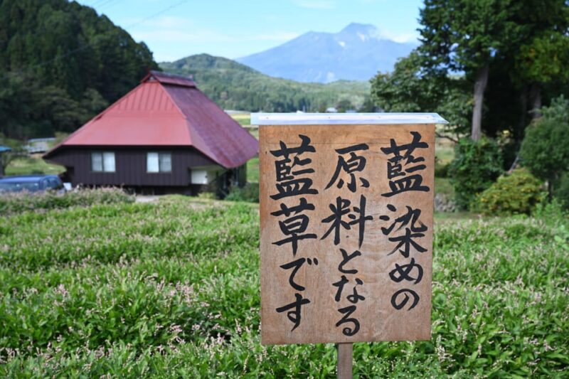 Nagano: Snowboard Riding Experience & Local Life Guided Tour - Day 2: Freeride Snowboarding and Local Cuisine