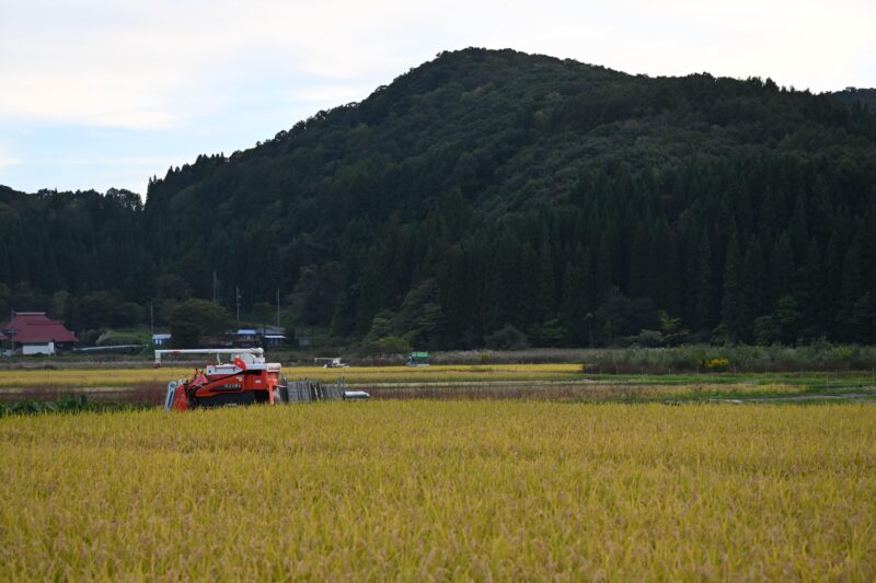 Nagano: Snowboard Riding Experience & Local Life Guided Tour - Traditional Japanese Food and Culture Immersion