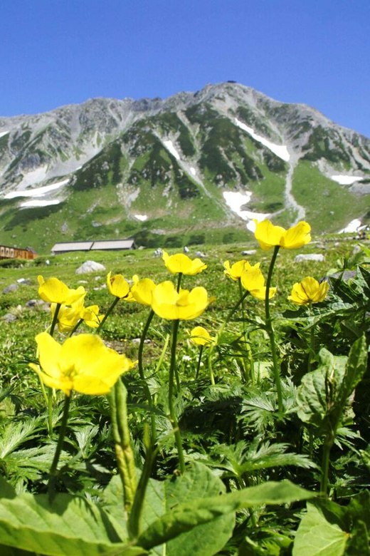 Nagano: Tateyama-Kurobe Guided Walking Tour - Essential Gear and Preparations