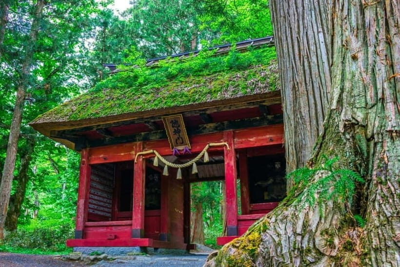 Nagano: Togakushi Shrine of 1400 Years & Farm-to-Table Lunch - Key Points