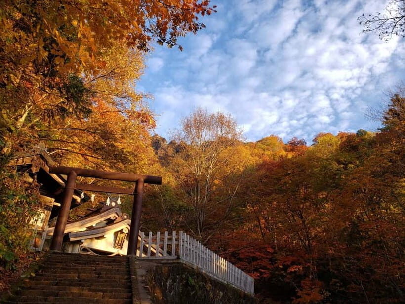 Nagano: Togakushi Shrine of 1400 Years & Farm-to-Table Lunch - An In-Depth Look at the Togakushi Experience