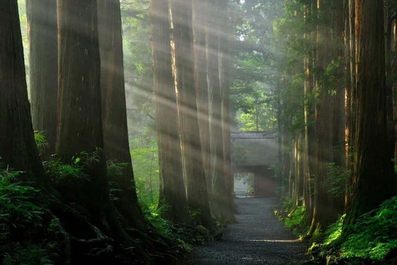 Nagano: Togakushi Shrine of 1400 Years & Farm-to-Table Lunch - FAQ