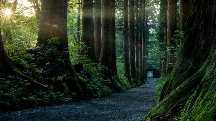 Nagano: Togakushi Shrine, Sake & Zenkoji Private Tour - FAQs