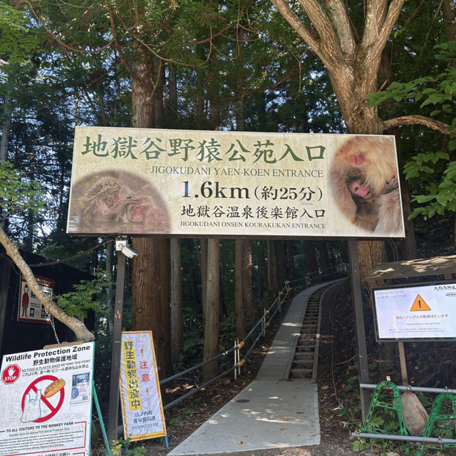 Nagano/Tokyo: Snow Monkey Private Day Tour At Lowest Rate - Itinerary Highlights