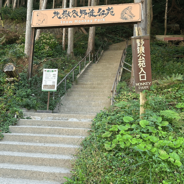 Nagano/Tokyo: Snow Monkey Private Day Tour At Lowest Rate - Transportation and Accessibility