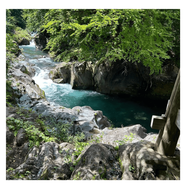 Nagano/Tokyo: Snow Monkey Private Day Tour At Lowest Rate - Customer Experience and Reviews