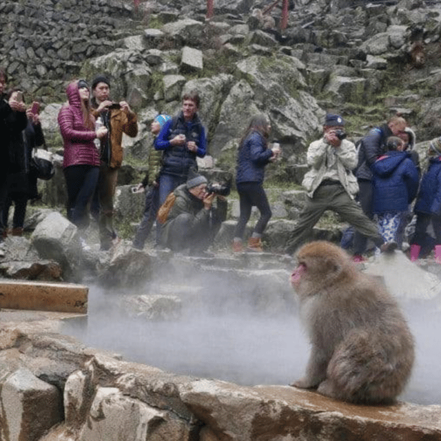 Nagano & Tokyo: Snow Monkey & Zenkoji Temple Private Tour - Key Points