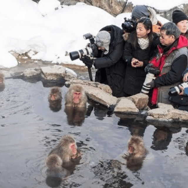 Nagano & Tokyo: Snow Monkey & Zenkoji Temple Private Tour - Booking and Cancellation
