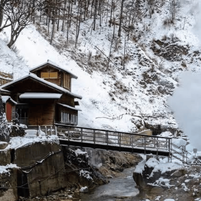 Nagano & Tokyo: Snow Monkey & Zenkoji Temple Private Tour - Amenities and Inclusions