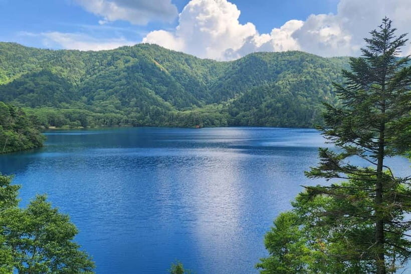 Nagano UNESCO Park: Emerald Acid Lake & Ghibli Onsen Town - Who Will Love This Tour?