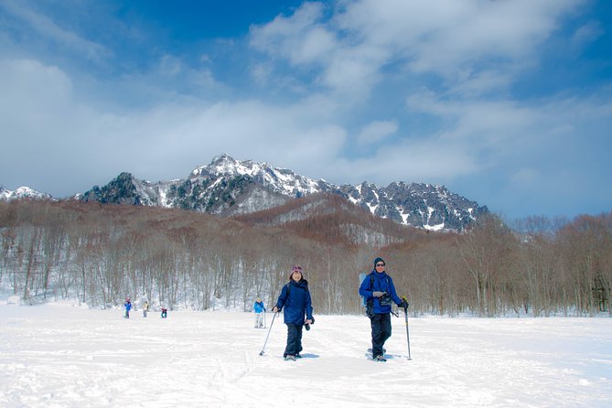 Nagano Winter Special Tour Snow Monkey and Snowshoe Hiking!! - Inclusions