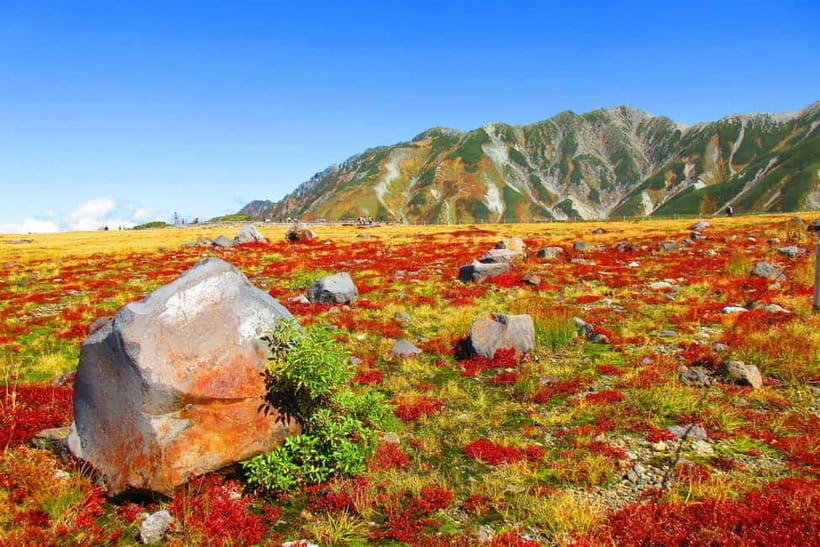 Nagano: Worlds Edge Tateyama Kurobe Alpine Route Tour - The Sum Up