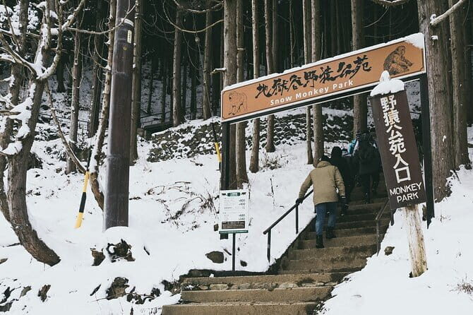 Naganos Snow Monkeys and Sake Tasting Day Tour - Who Should Consider This Tour?