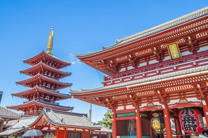 Naganos Snow Monkeys and Sake Tasting Day Tour - Final Thoughts