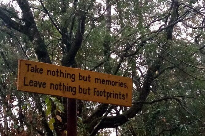 Nagarjun Hill View point Hike Tour - The Sum Up: Is This Tour Right for You?