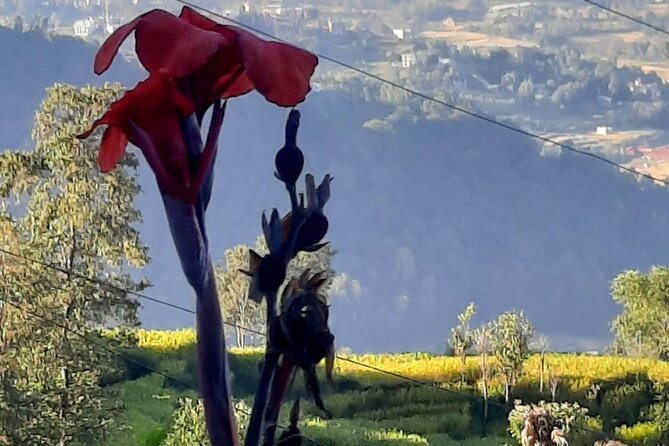 Nagarkot (2175m) Sunrise and Day Hike to Changunarayan Temple - What Travelers Love About This Tour