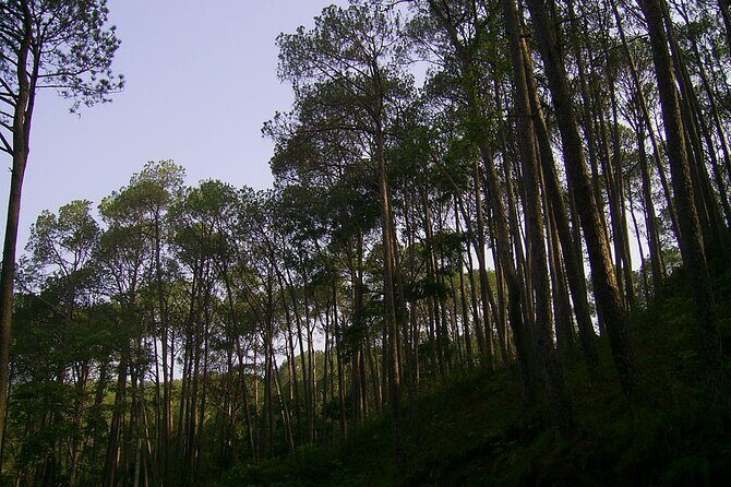 Nagarkot Sunrise Tour with Sallaghari: Changunarayan Hiking - The Itinerary: What Youll See and Do