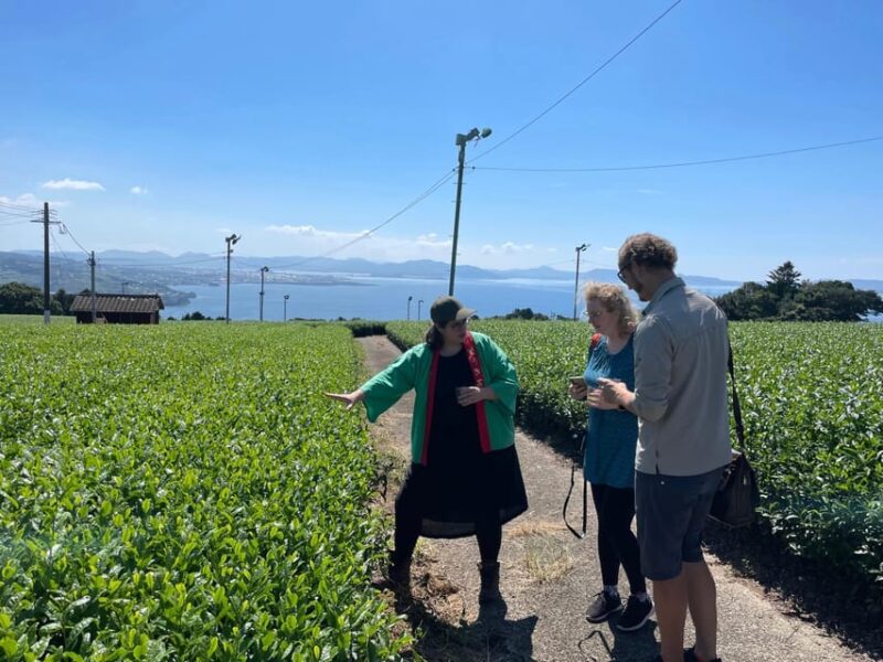 Nagasaki: Explore Japanese Teas on a Tea Tour - Key Points