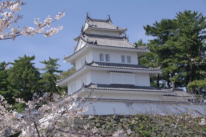 Nagasaki International Airport to Nagasaki City Private Arrival Transfer - What to Expect from the Nagasaki Airport Transfer