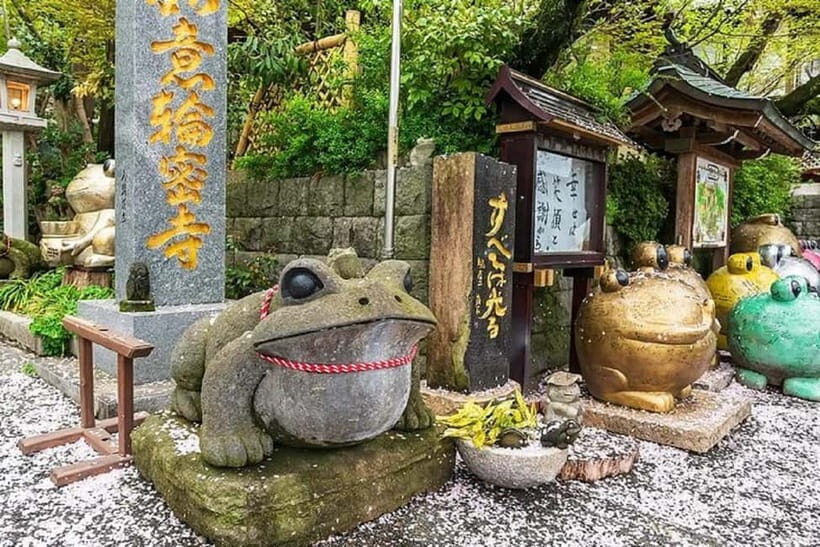 Nagasaki:Customizable Nagasaki City Walk Private Guided Tour - Who Will Enjoy This Tour?