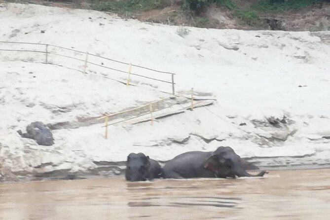 Nagi of Mekong cruise - Practical Details and Tips