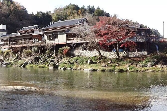 Nagoya: All-Inclusive Car Tour to Korankei Valley - Tailored Tour Experience