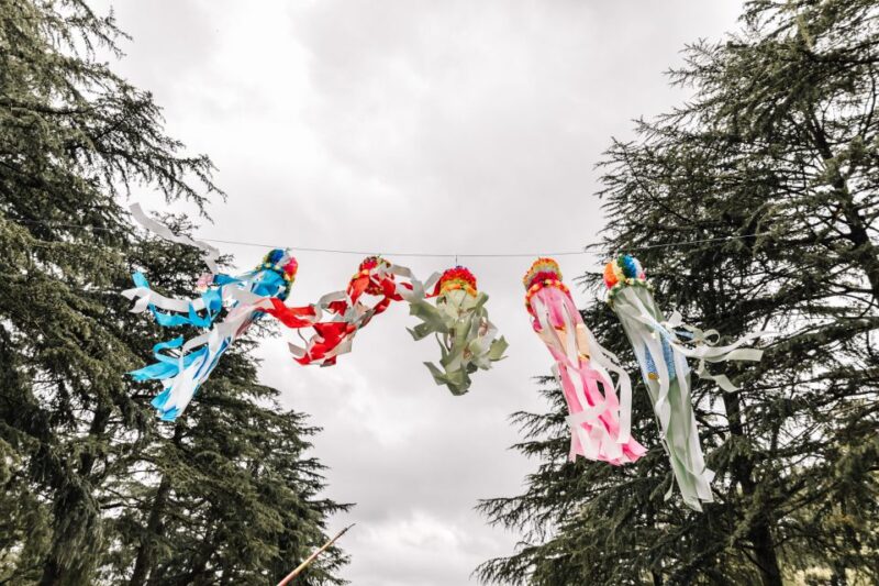 Nagoya: Customized Private Tour - Logistics and Inclusions