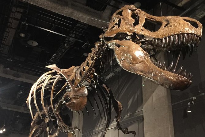 Nagoya Full-Day Private Custom Tour With National Licensed Guide - Tour Experience and Customer Feedback