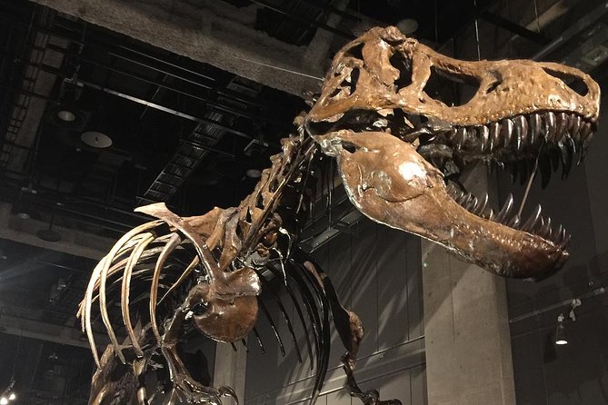 Nagoya Half-Day Private Custom Tour With National Licensed Guide - Guide Services and Expertise