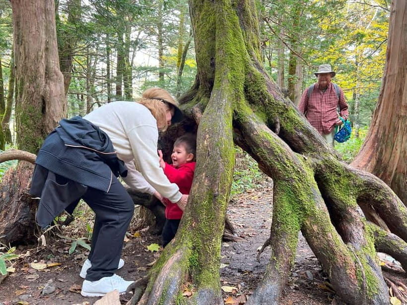 Nagoya: Japanese Alps "Kamikochi" One-Day Round-trip Tour - Reviews and Feedback