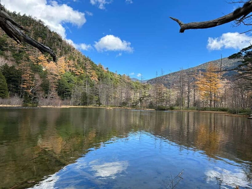 Nagoya: Japanese Alps "Kamikochi" One-Day Round-trip Tour - FAQ
