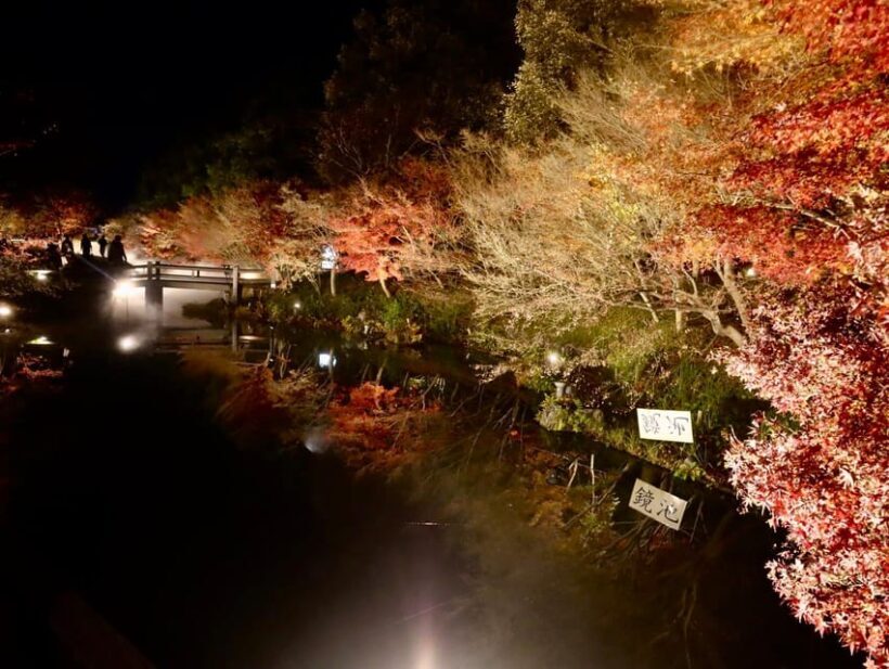 Nagoya: Nagashima Outlet Mall & Nabana no Sato Park Trip - FAQ