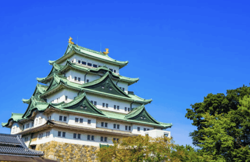 Nagoya Private Custom Tour With Local Guide - Key Points
