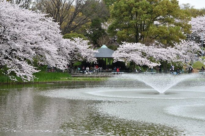 Nagoya Private Customizable Half Day Tour - Inclusions and Exclusions