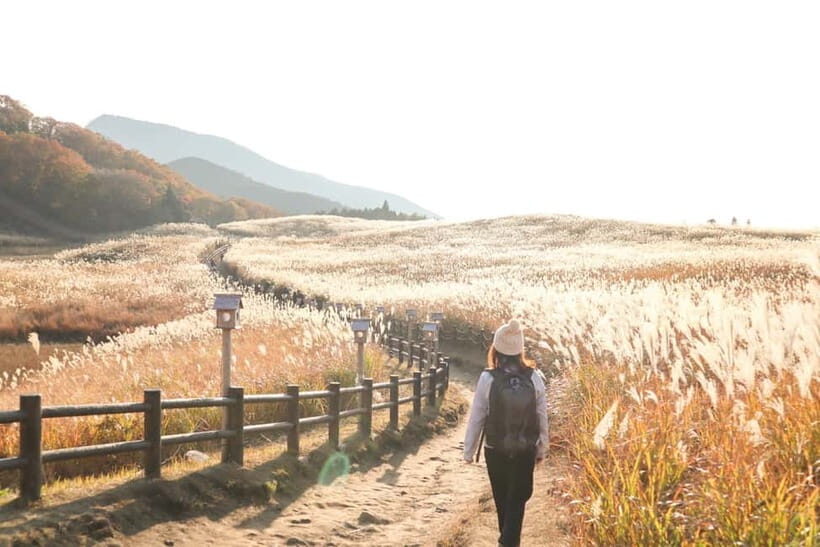 Nagoya: Soni Highlands & Akame 48 Waterfalls Guided Hike - Key Points