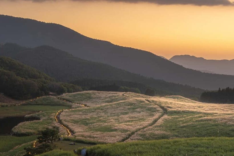Nagoya: Soni Highlands & Akame 48 Waterfalls Guided Hike - The Wildlife and Ecology