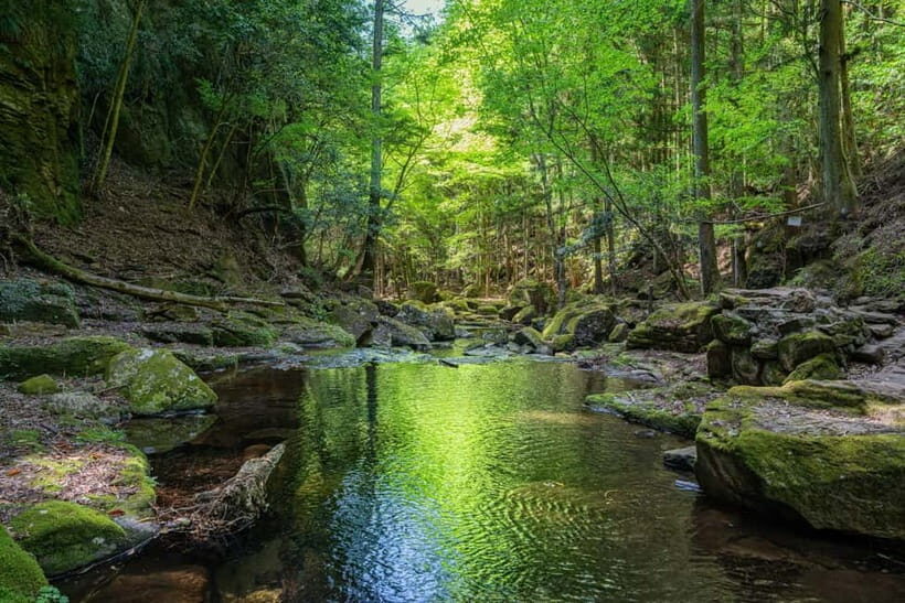 Nagoya: Soni Highlands & Akame 48 Waterfalls Guided Hike - FAQs