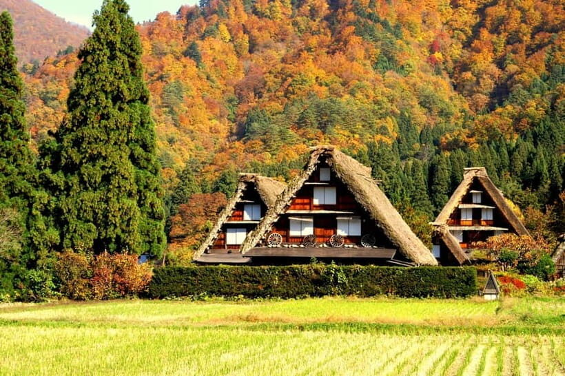 Nagoya: Takayama & Shirakawa-go Day Trip w/ Hida Pork Lunch - FAQ