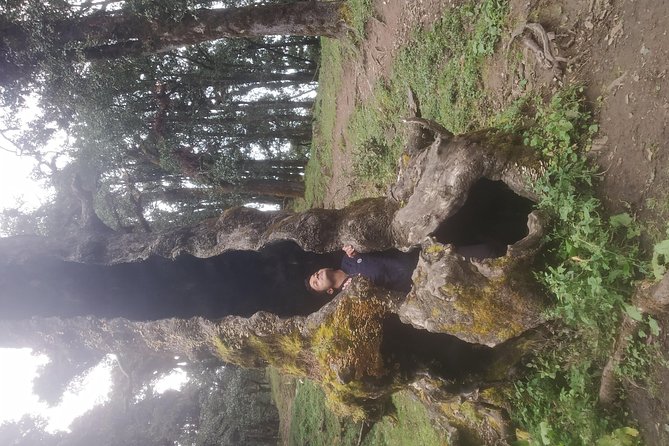 Nagtibba Trek (Pantwari to Pantwari) - Whats Included and Whats Not?