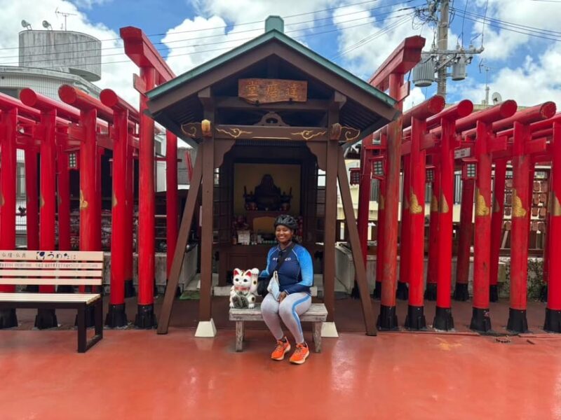 Naha: Guided E-Bike Tour of the 12 Zodiac Temples - Highlights and Itinerary