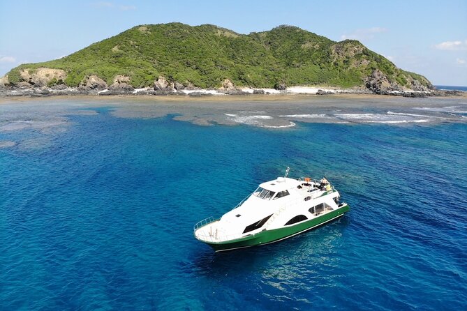 Naha: Kerama Islands Snorkeling Tour/Limited Time Whale Watching - Snorkeling Opportunities