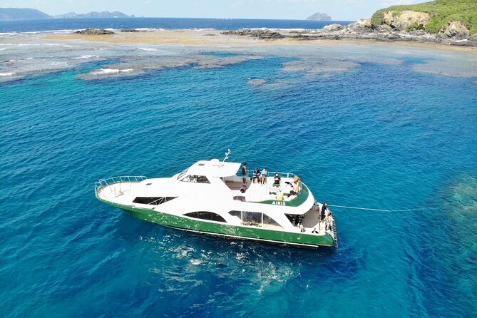 Naha: Kerama Islands Snorkeling Tour/Limited Time Whale Watching - Tour Recommendations