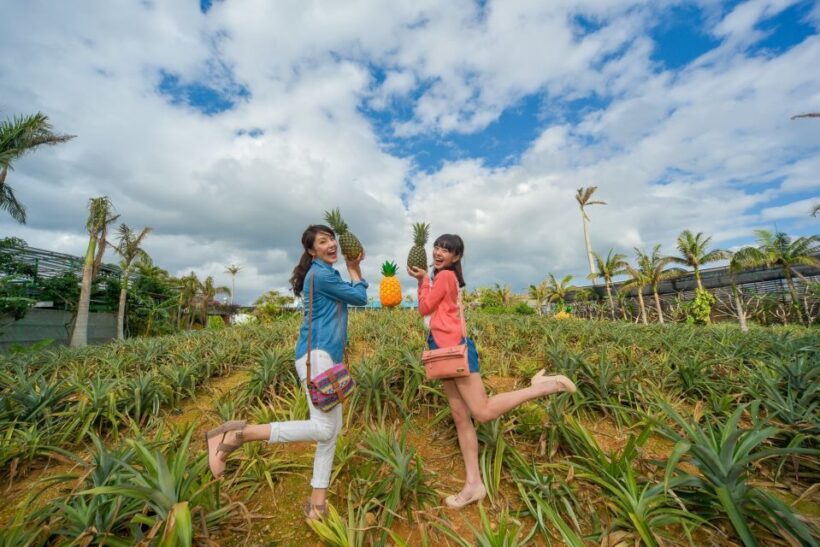 Naha: North Okinawa Sightseeing Tour & Churaumi Aquarium - Who Should Consider This Tour?