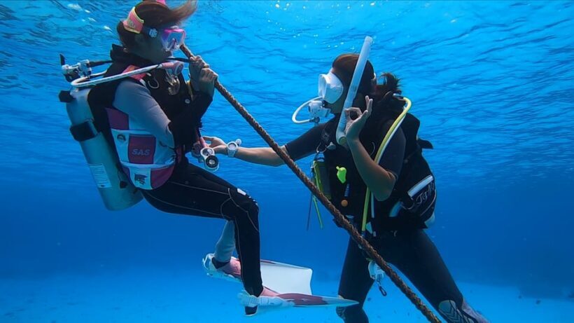 Naha, Okinawa: Kerama Islands Full-Day Intro-Diving Trip - Underwater Exploration